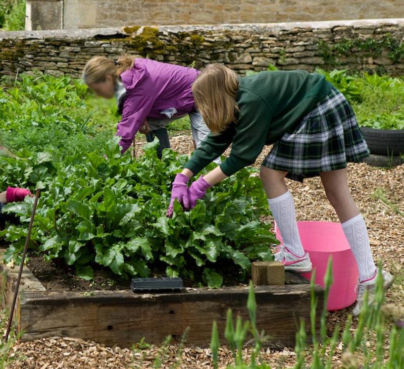 Setting up a School/Joining ISC - ISC