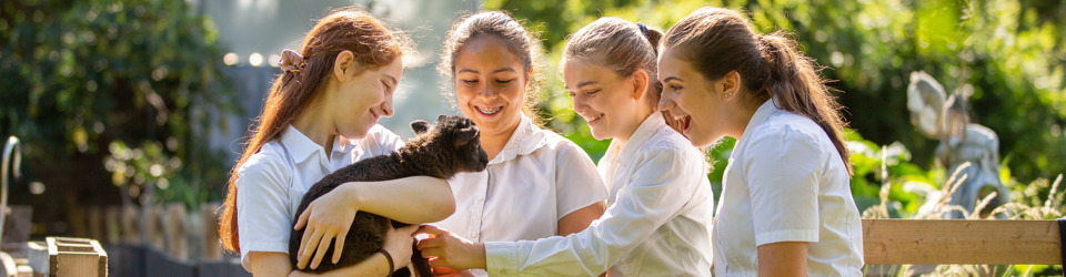 School Inspection - ISC